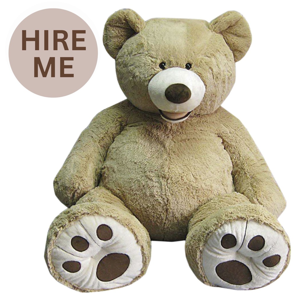 Giant Teddy Bear Hire Sydney 15m Candy Bar Sydney